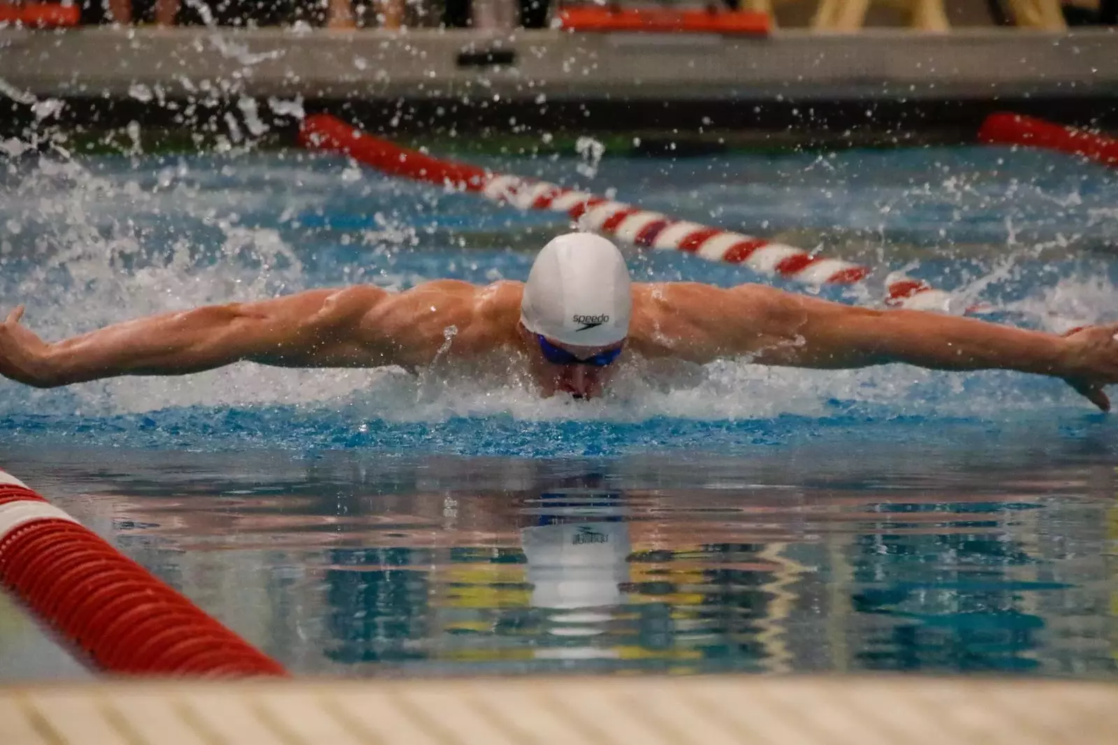 St. Cloud State Swim & Dive Opens with Intersquad and Alumni Meets this ...