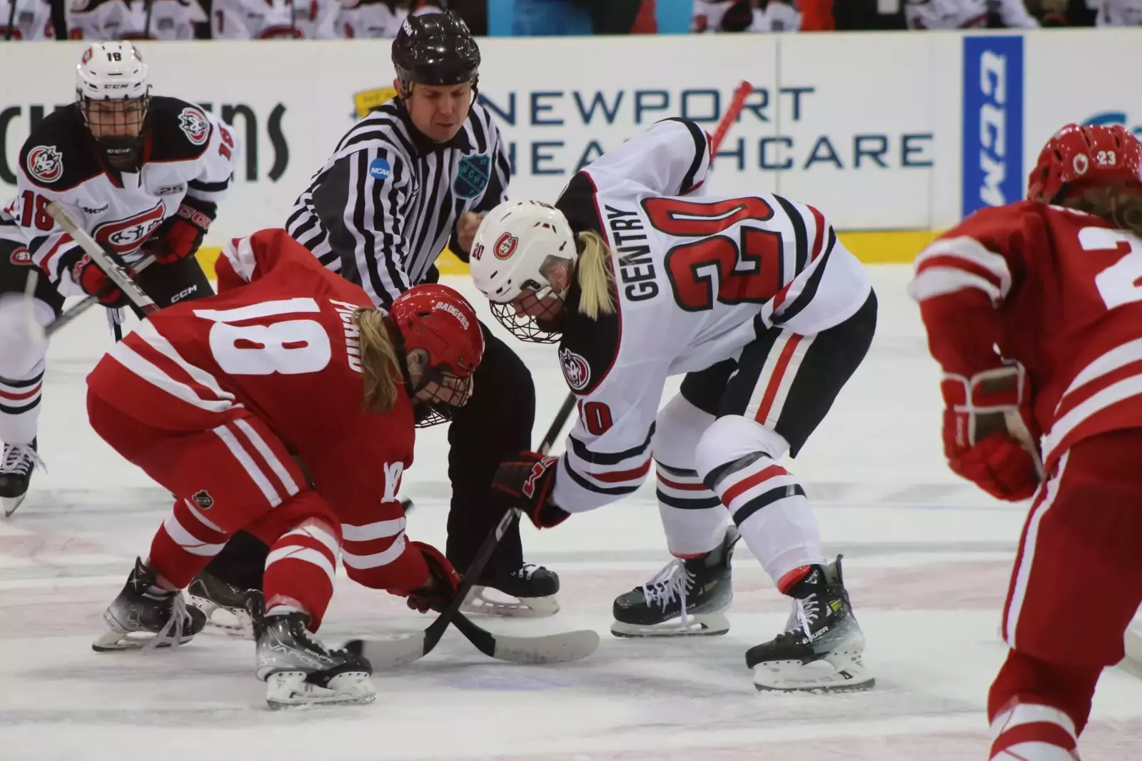 No. 11 St. Cloud State Women’s Hockey Falls to No. 1 Wisconsin in ...