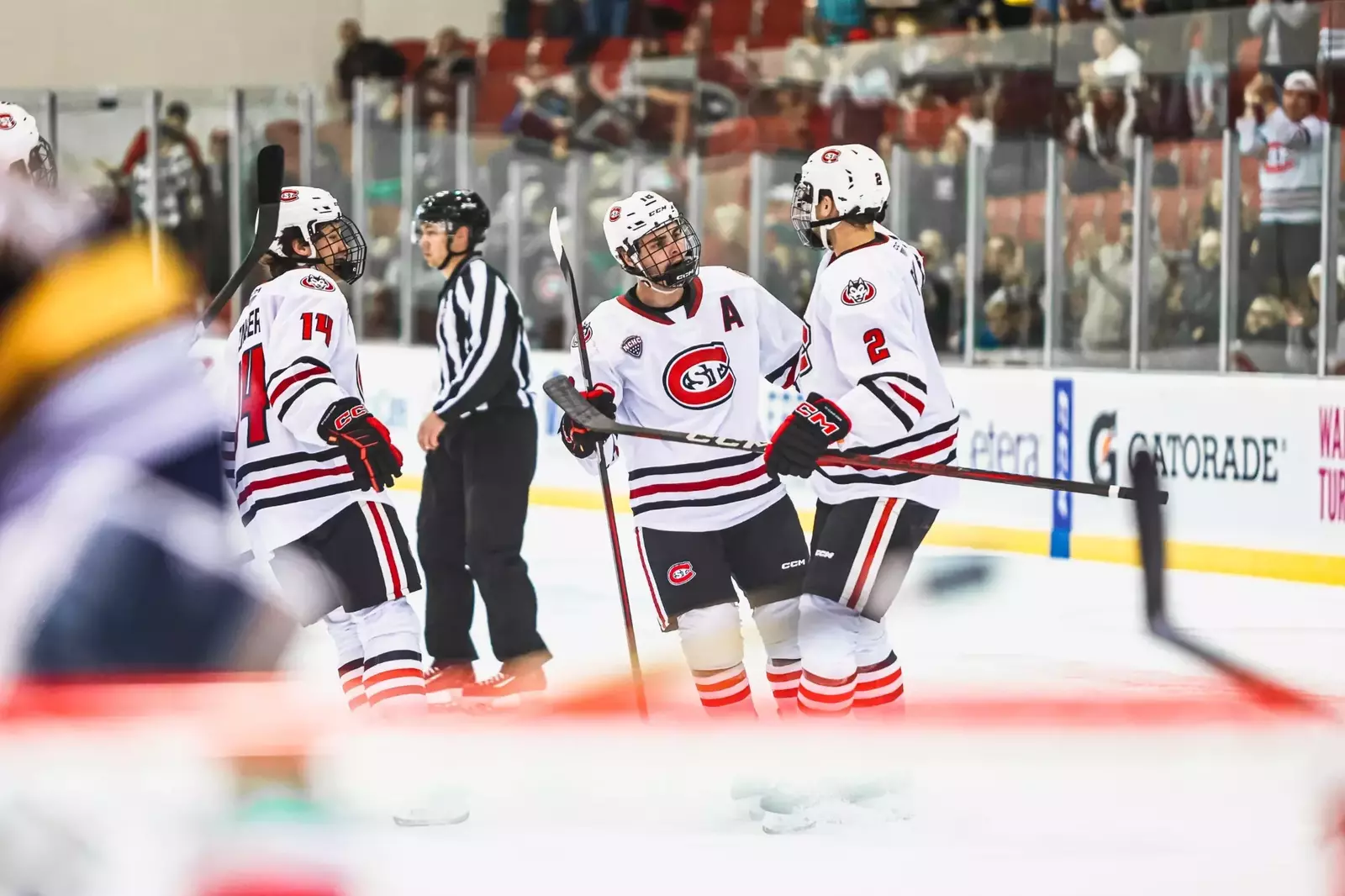 Portz Pots Pair, No. 12/14 St. Cloud State Men’s Hockey Beats Augustana ...