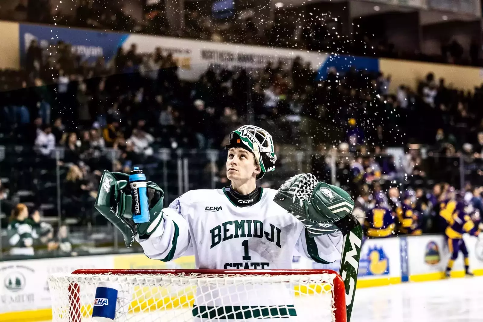 St. Cloud State Men’s Hockey Adds Goaltender Transfer Gavin Enright ...