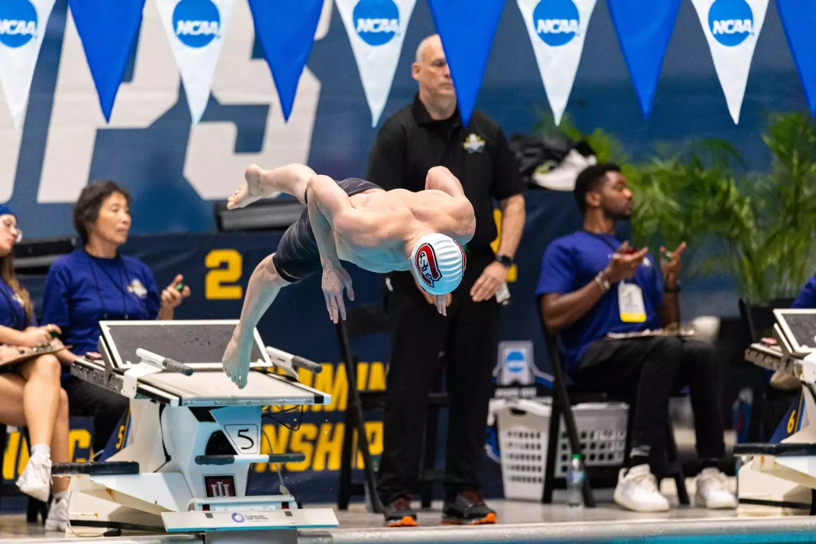 SCSU Men’s Swim & Dive Earns Highest-Ever Finish at NCAA Championships ...