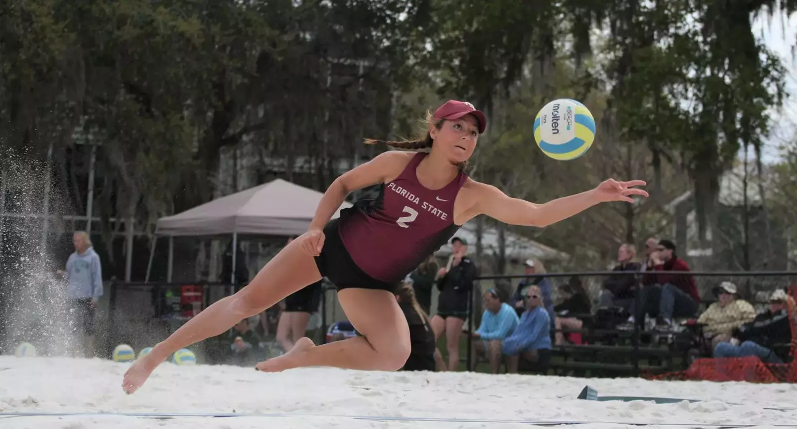 Florida State University Athletics