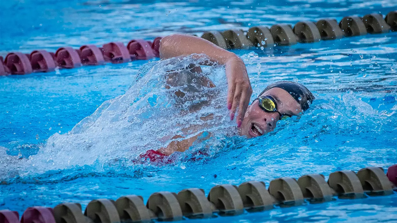 Florida State University Athletics