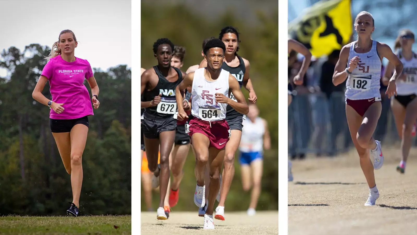 Florida State University Athletics