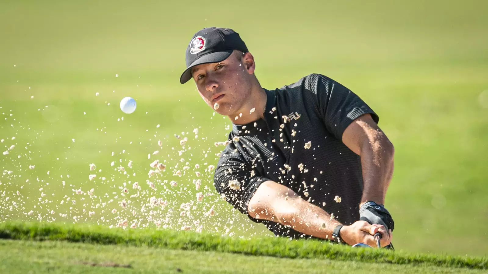 Florida State University Athletics