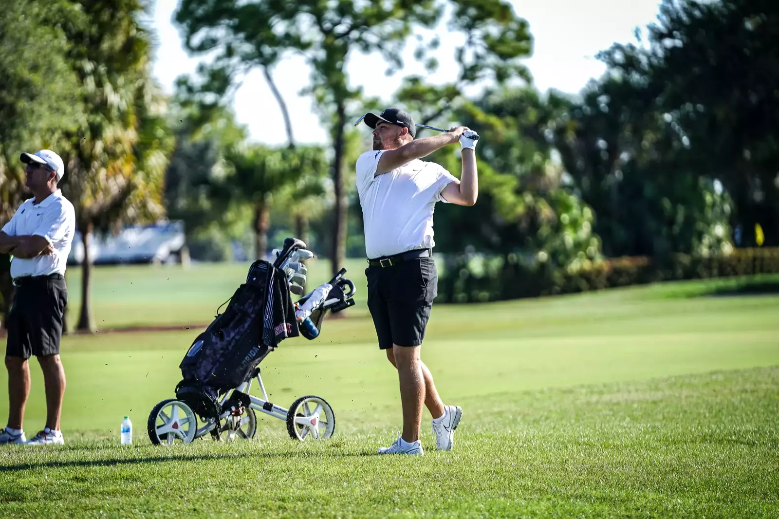 Florida State University Athletics