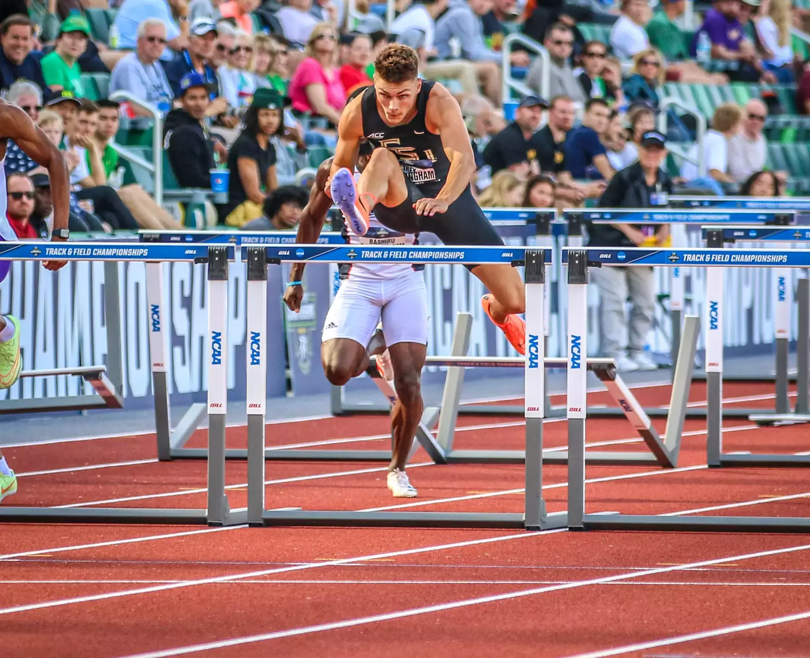 Florida State University Athletics