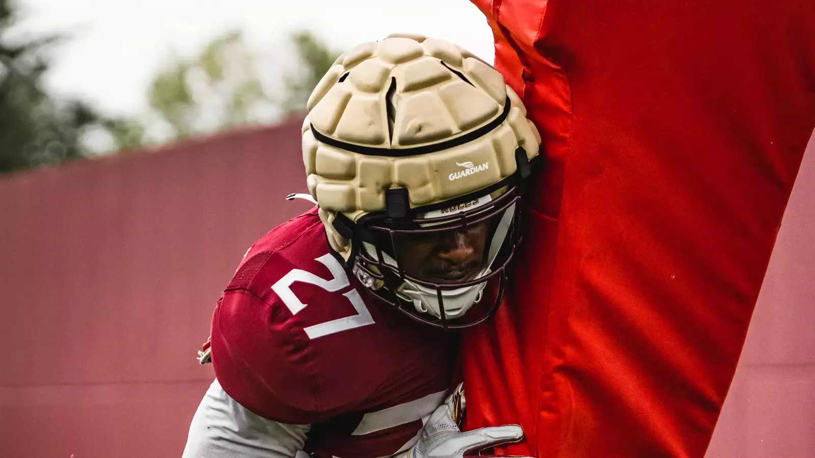 Florida State University Athletics