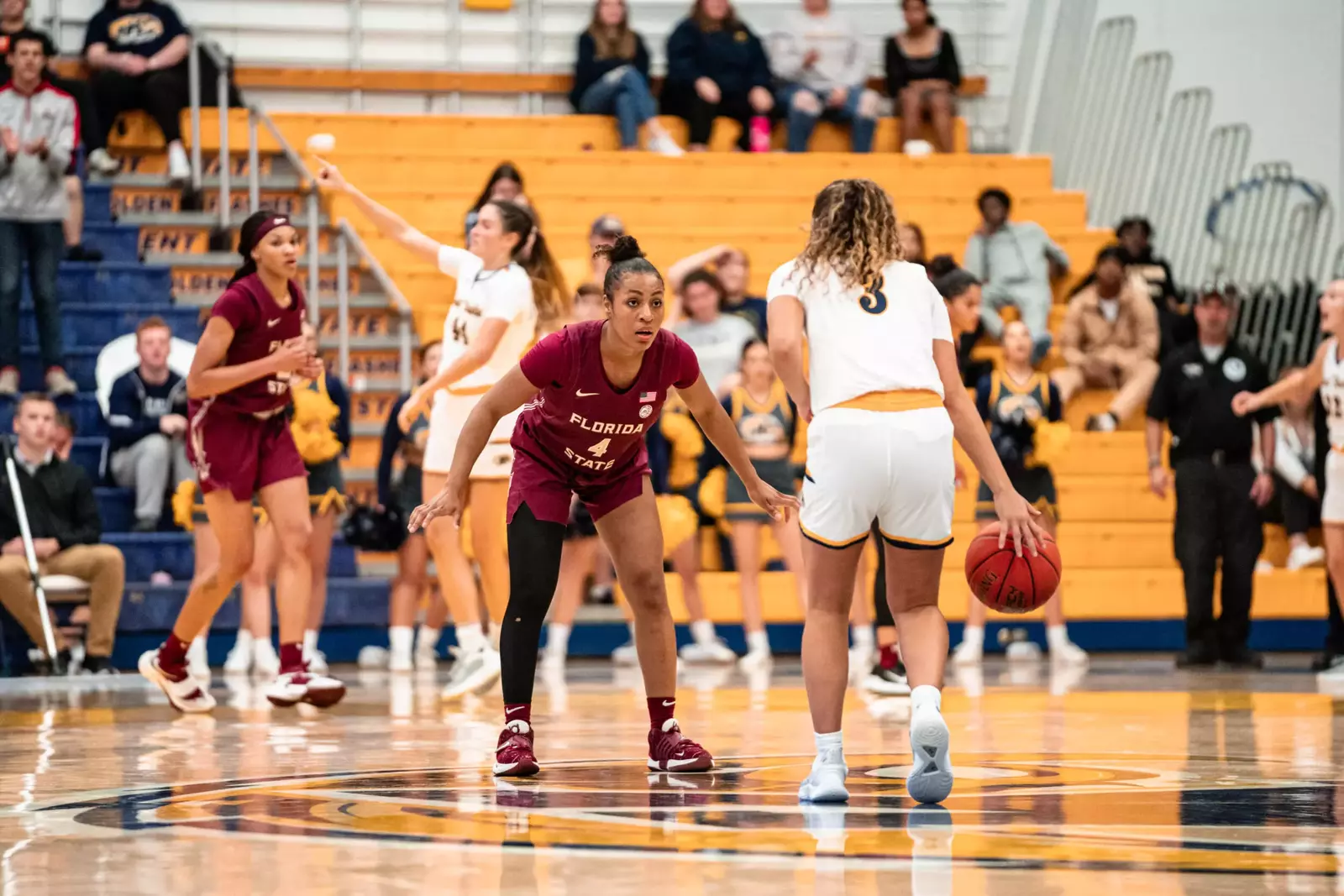 Florida State University Athletics