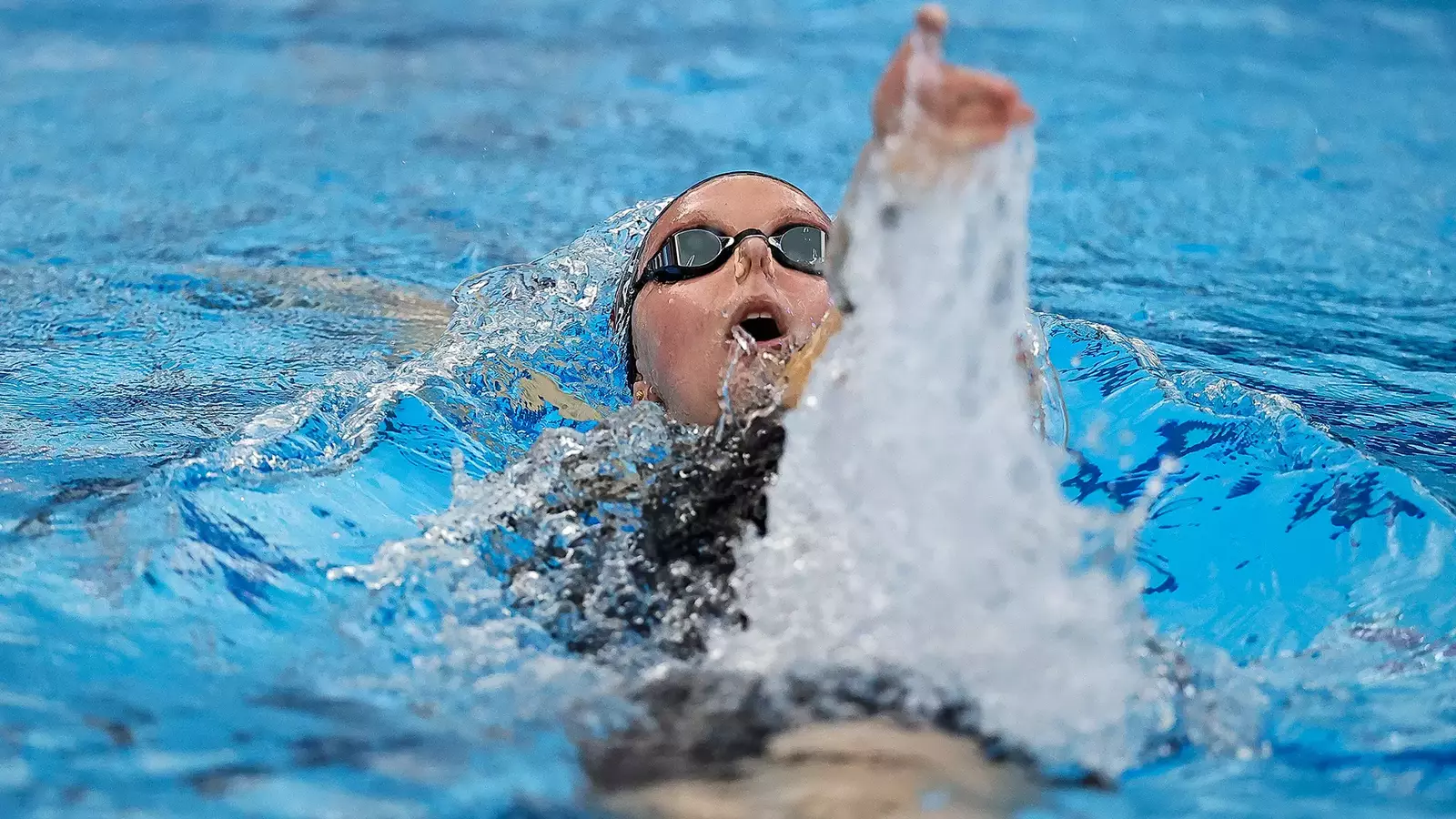 Florida State University Athletics