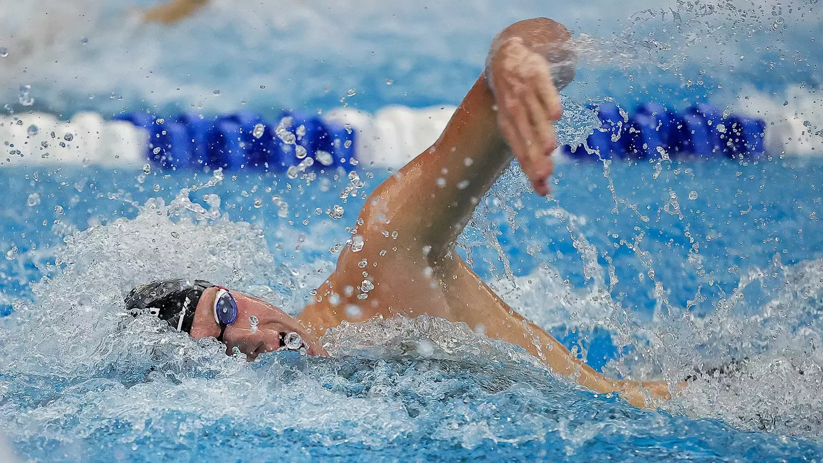 Florida State University Athletics