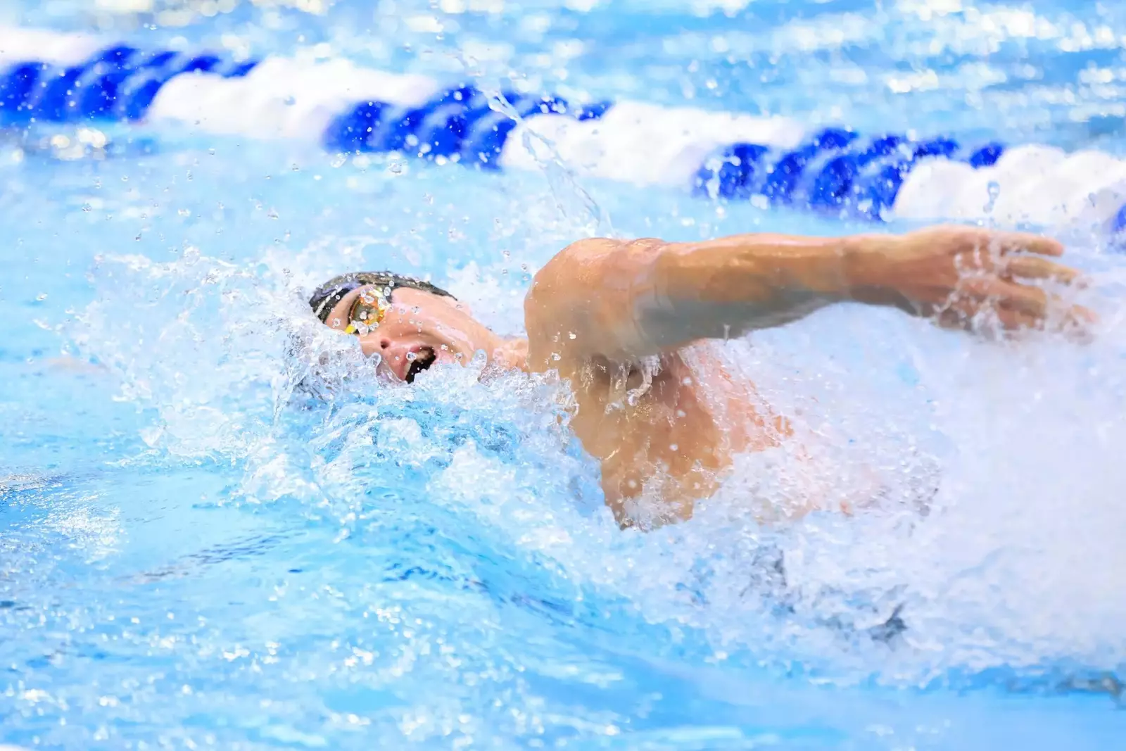 Florida State University Athletics