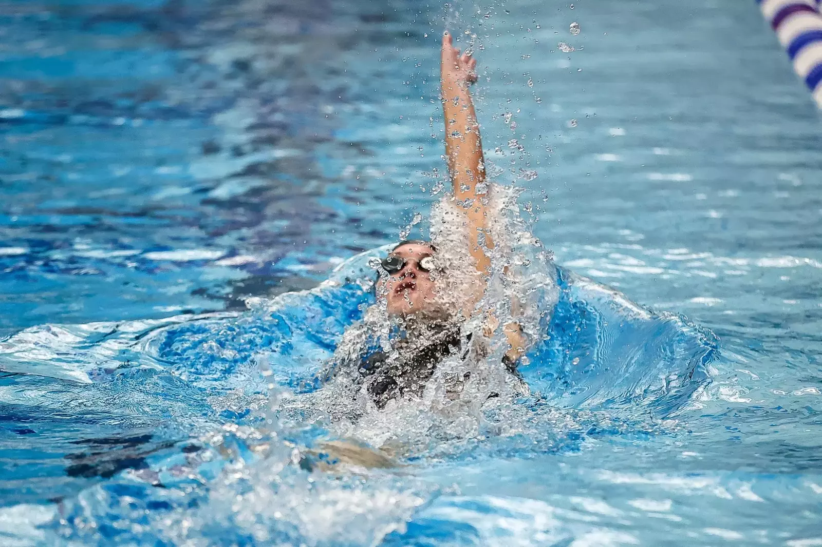 Florida State University Athletics