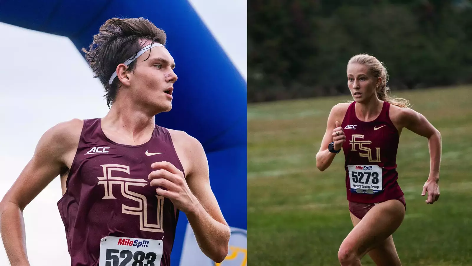 Florida State University Athletics