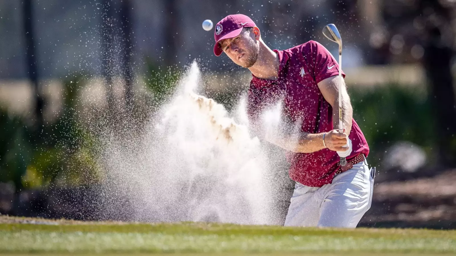 Florida State University Athletics