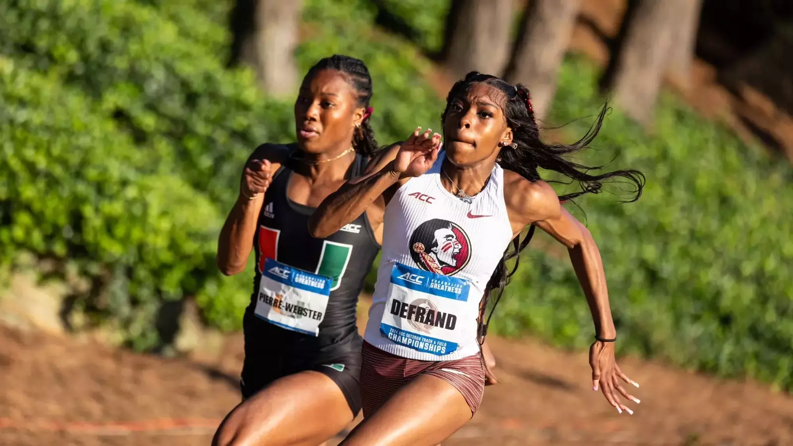 Florida State University Athletics