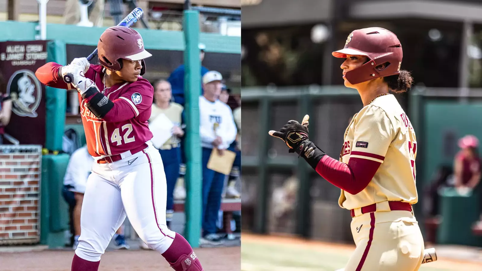 Florida State University Athletics