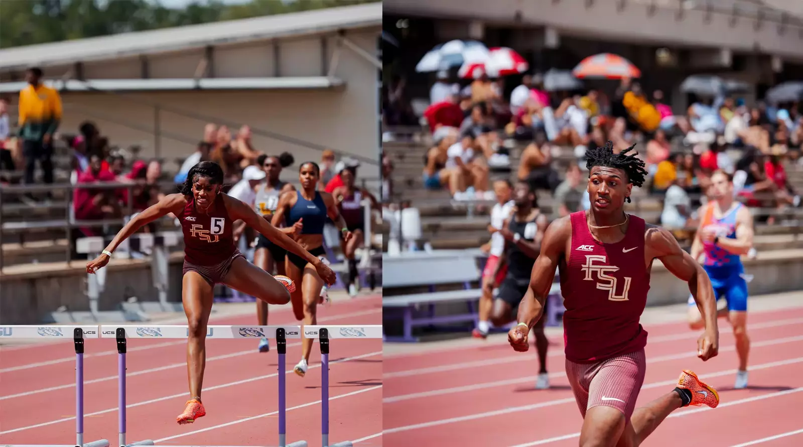 Florida State University Athletics