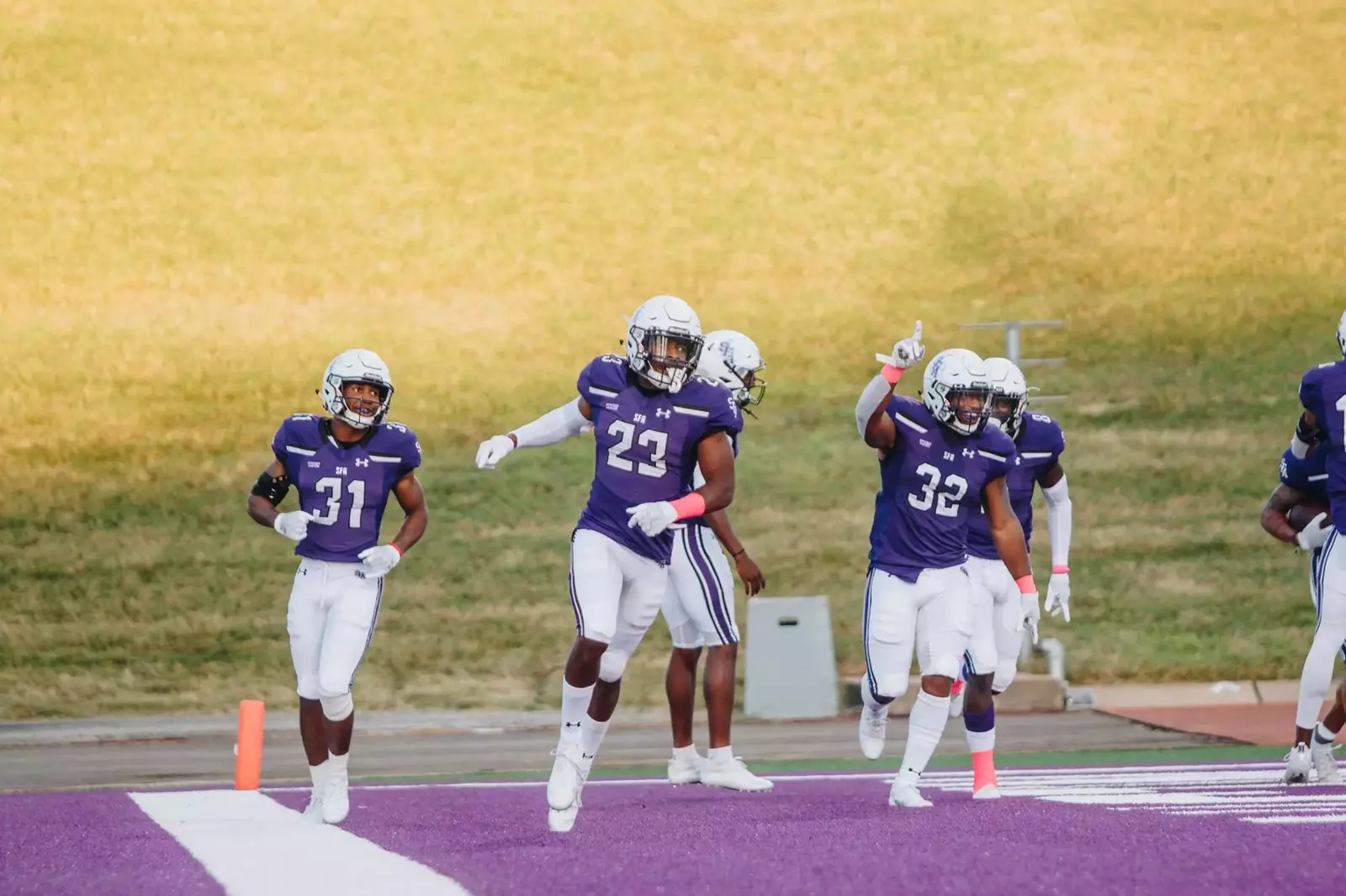 Stephen F Austin University