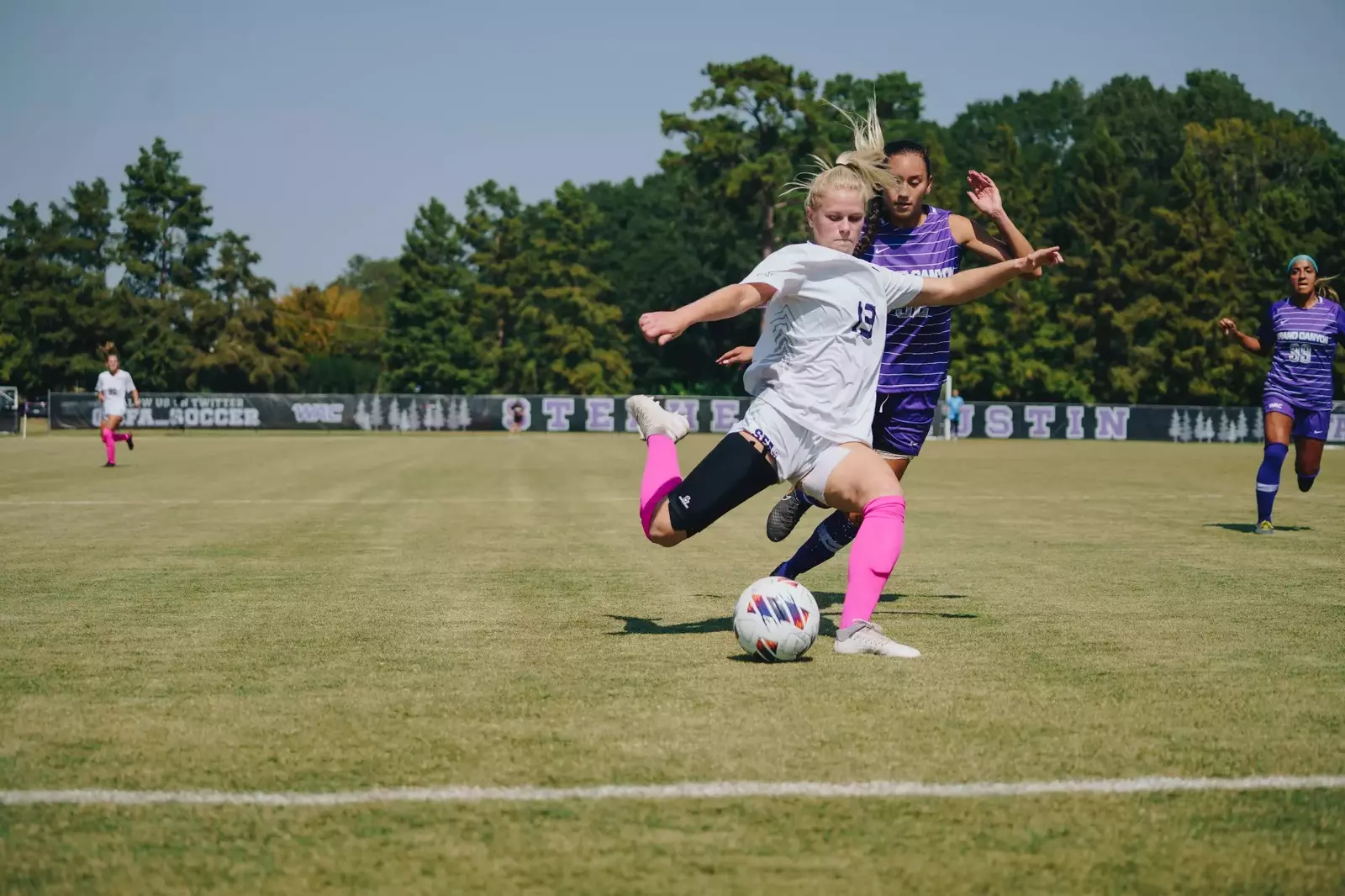 Stephen F Austin University