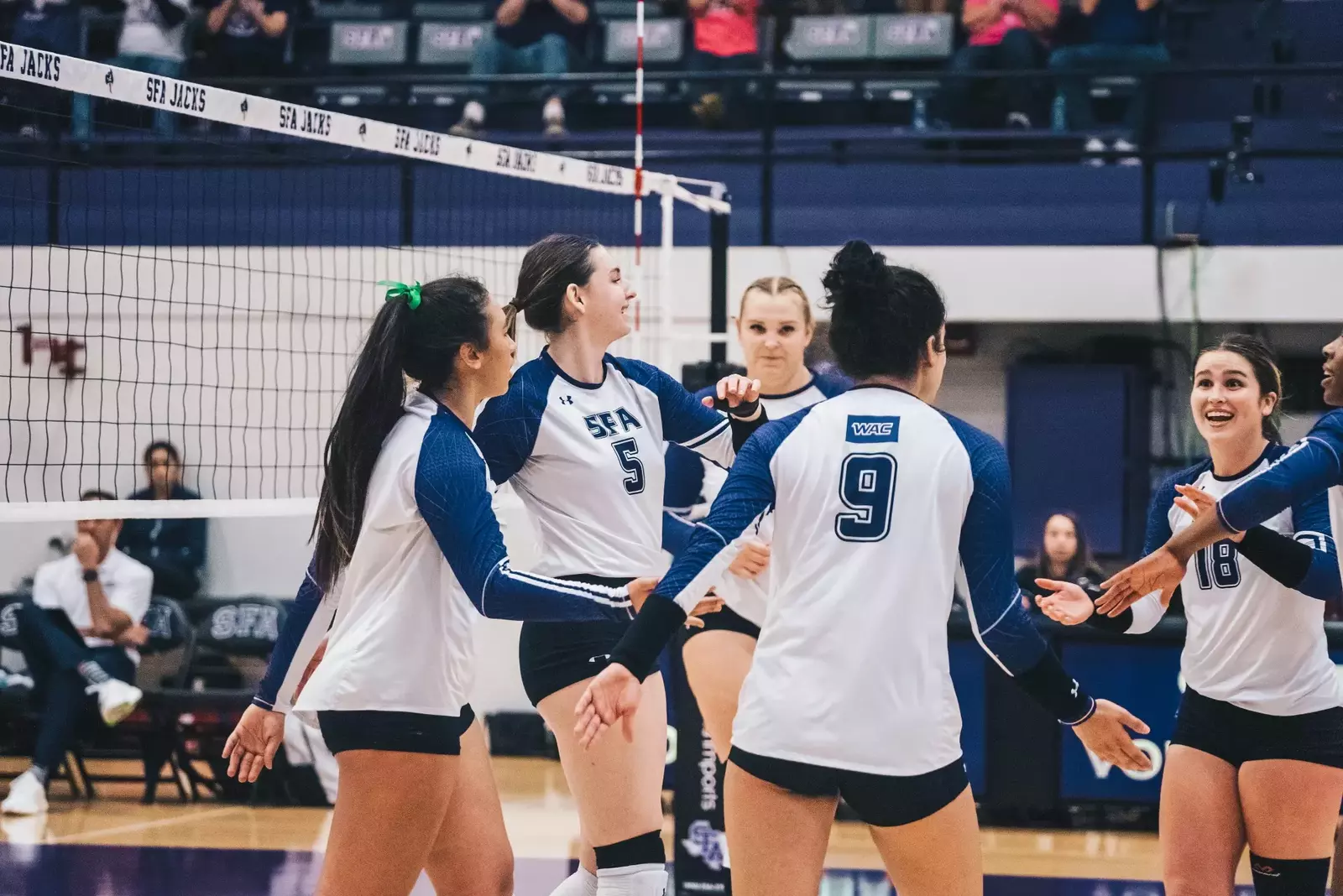 Stephen F Austin University