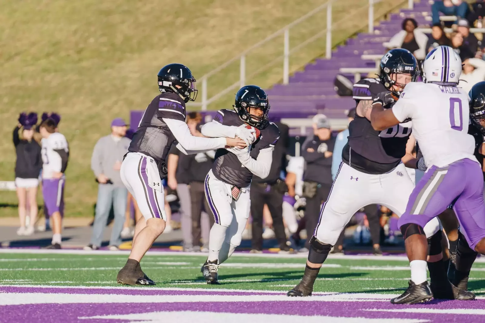 Stephen F Austin University