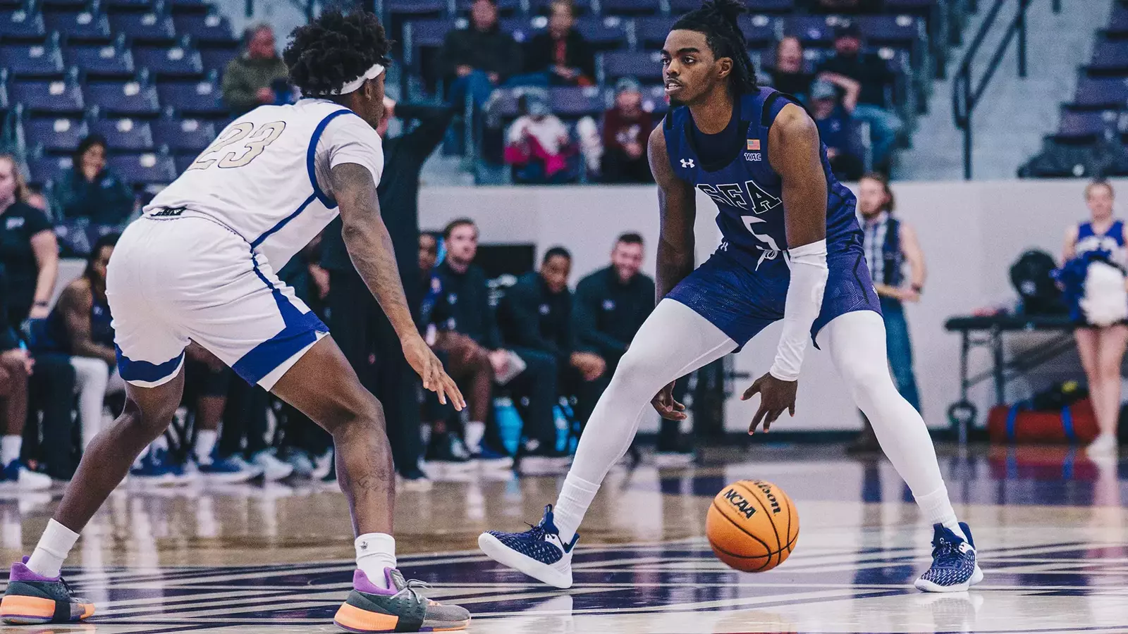 Stephen F Austin University