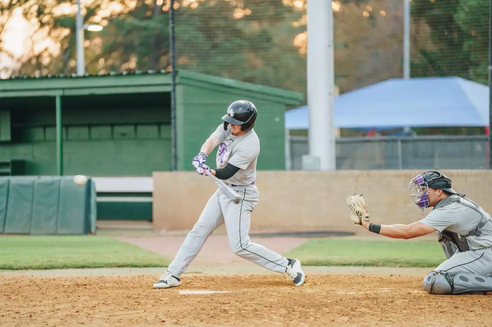 Stephen F Austin University