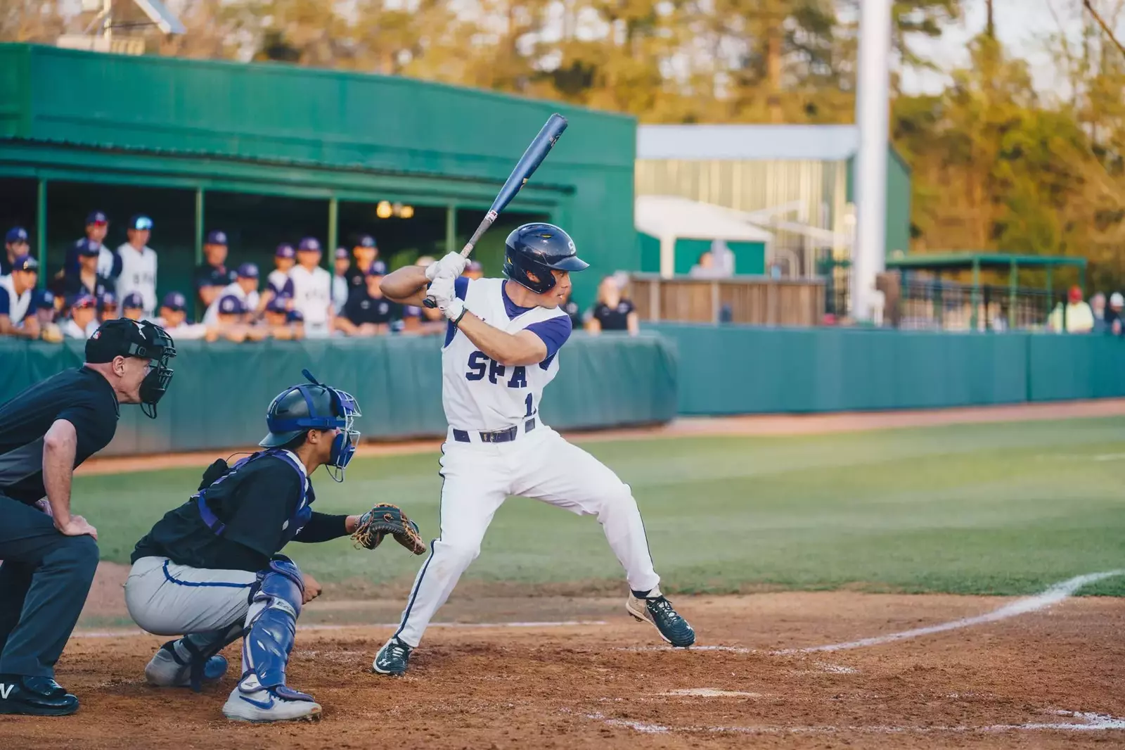 Stephen F Austin University