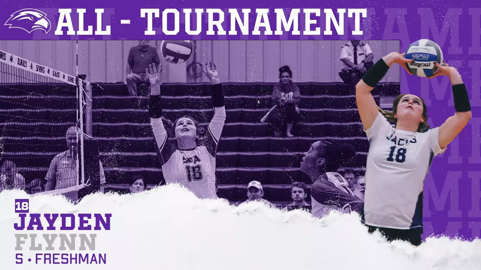 Stephen F Austin University