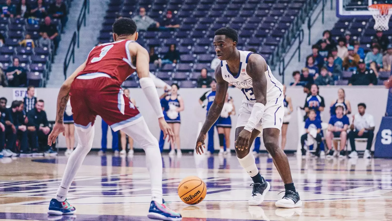 Stephen F Austin University