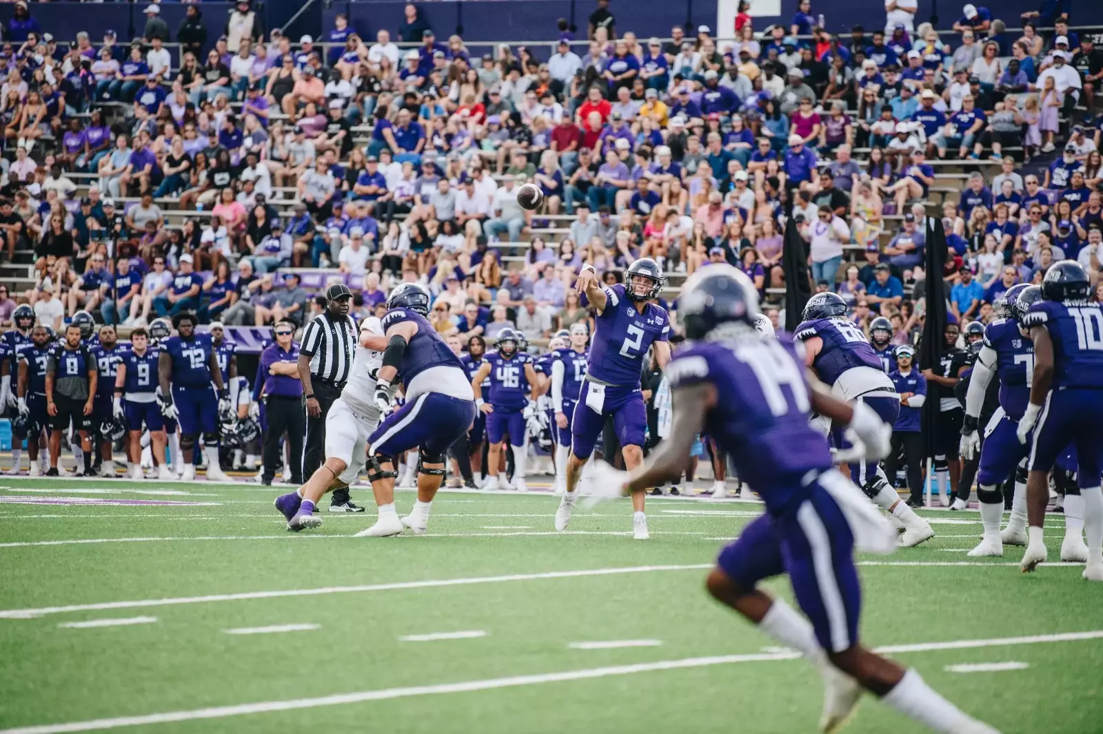 Stephen F Austin University