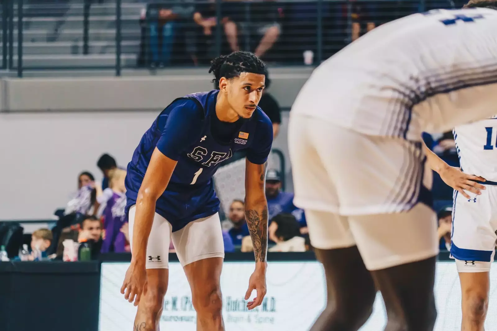 Stephen F Austin University