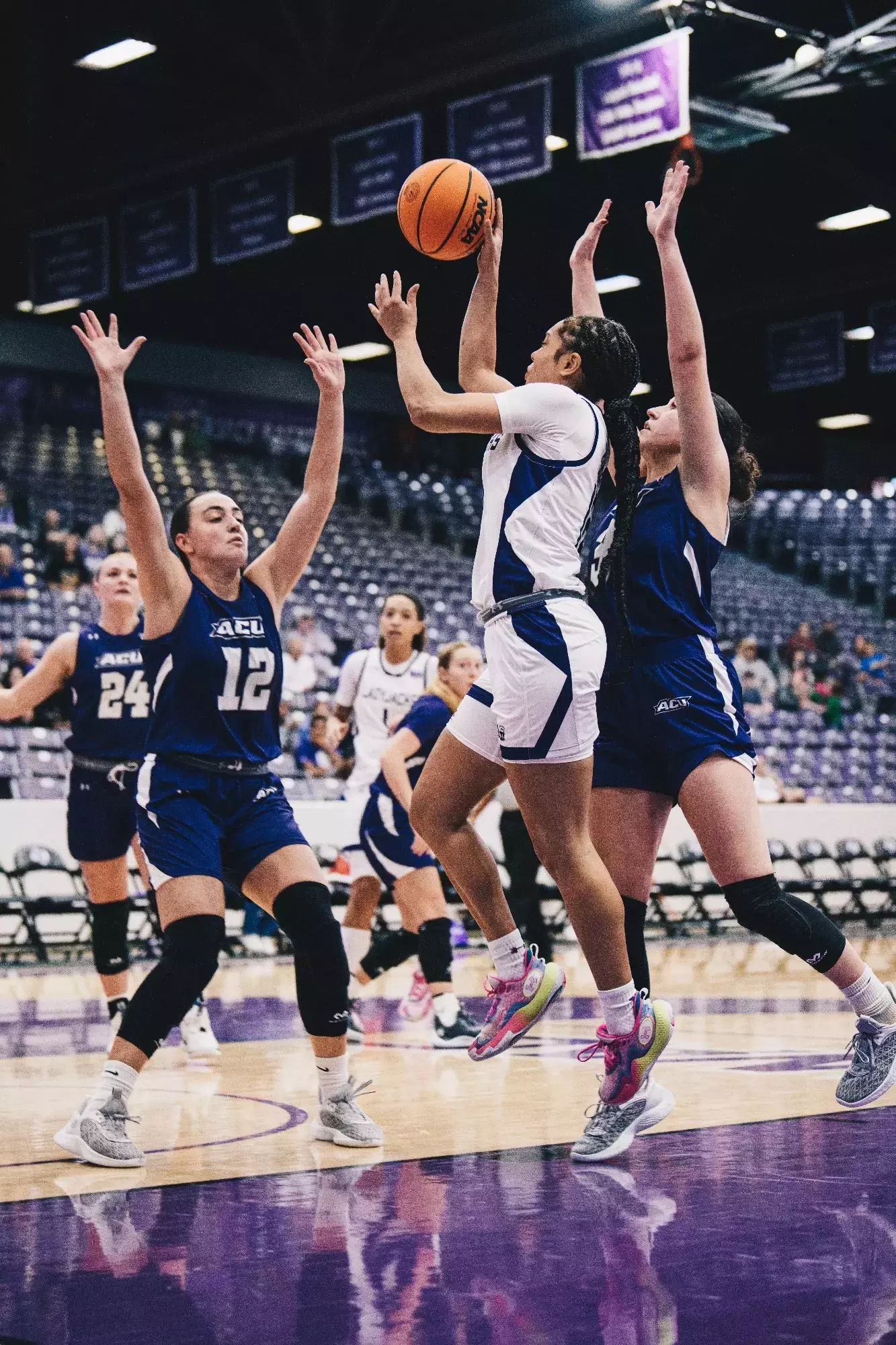 Stephen F Austin University