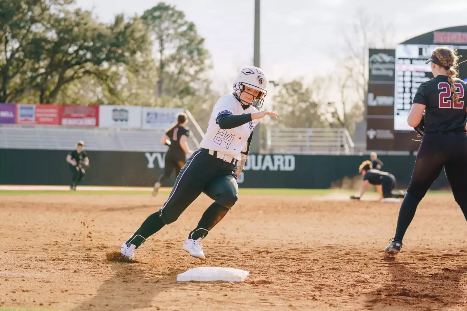 Stephen F Austin University
