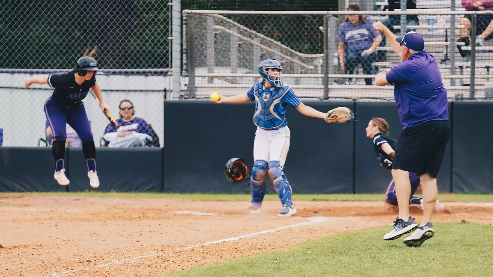 Stephen F Austin University