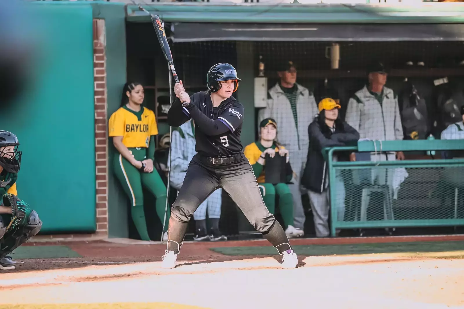 Stephen F Austin University