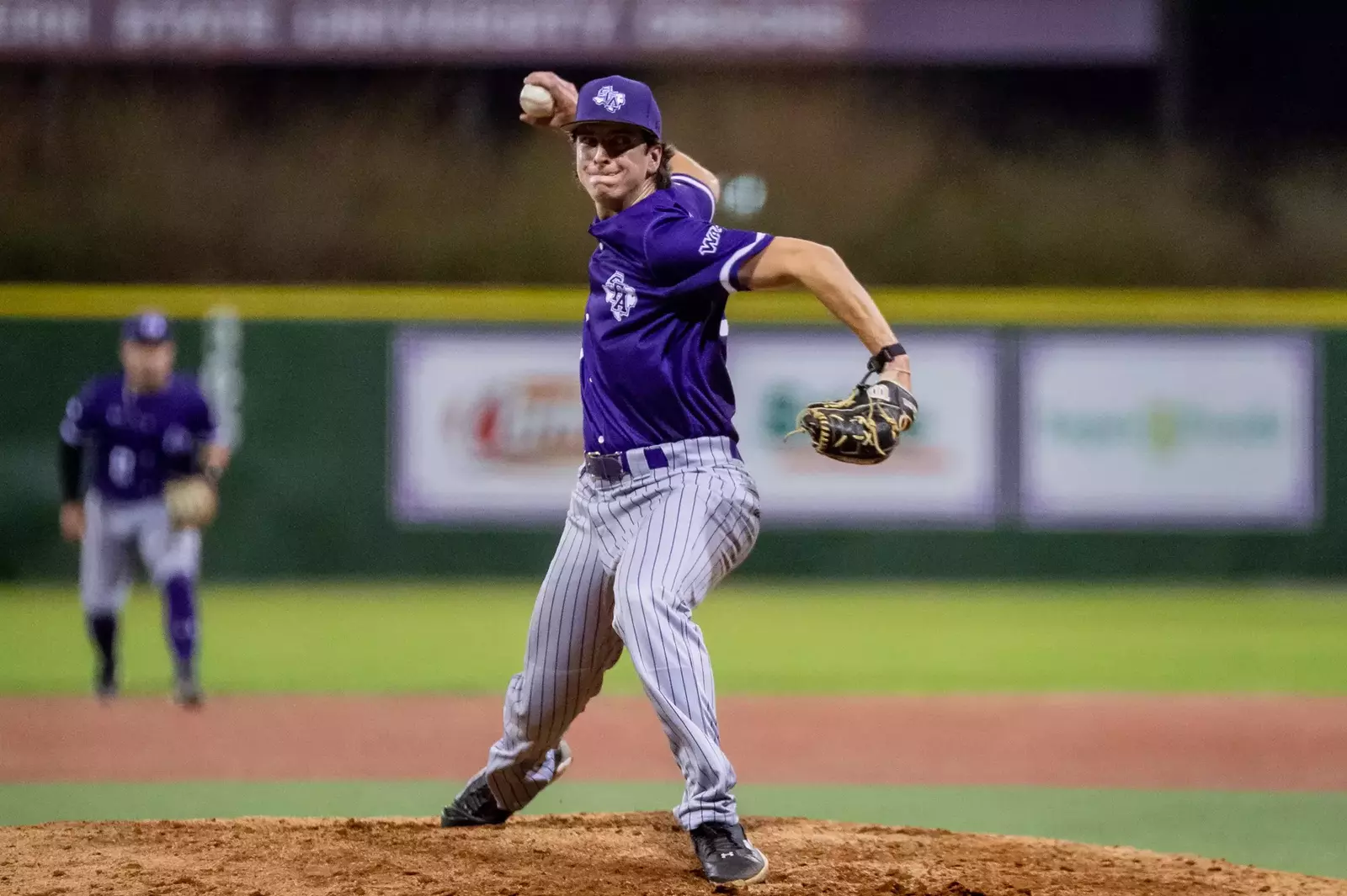 Stephen F Austin University