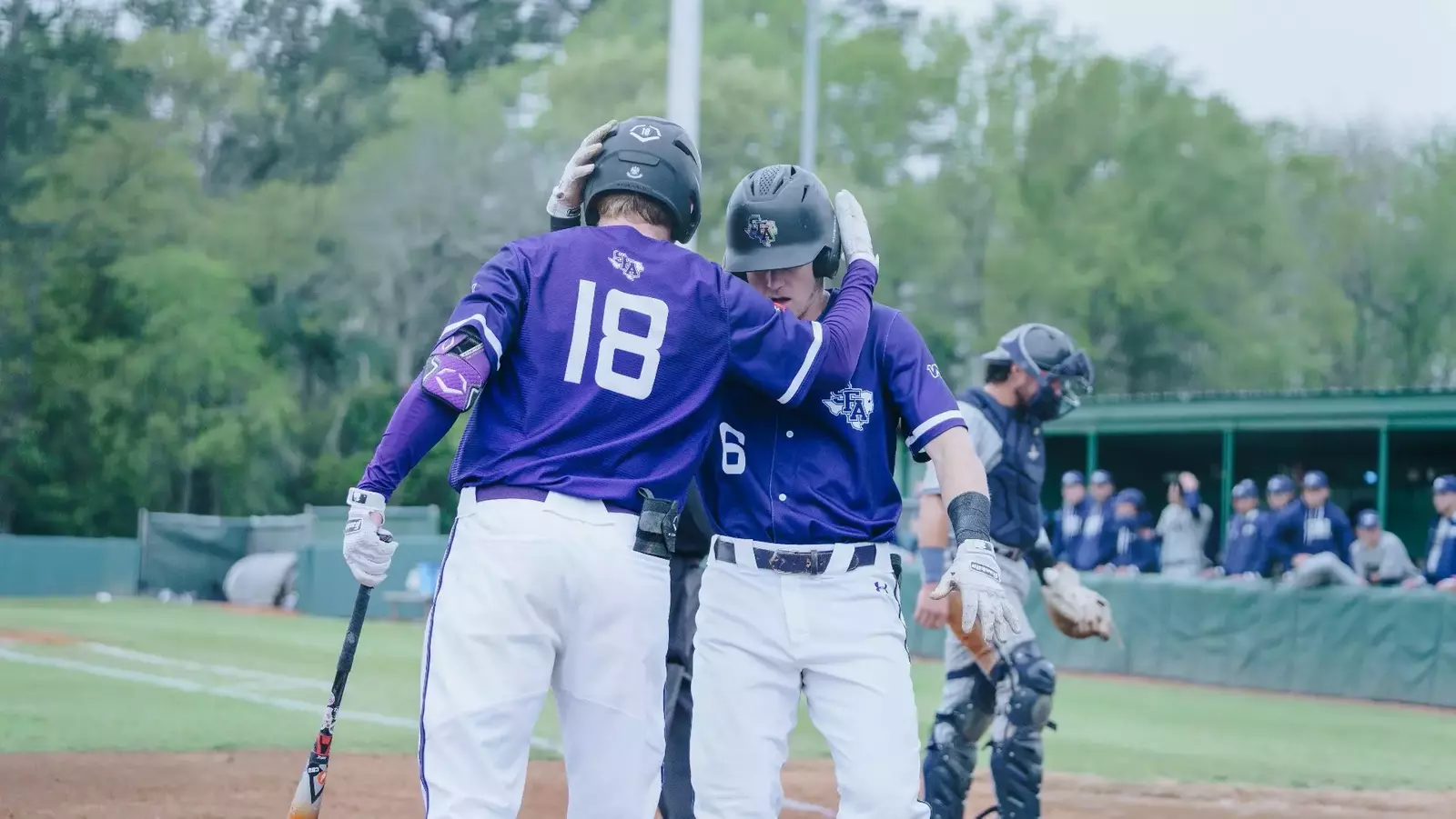 Stephen F Austin University