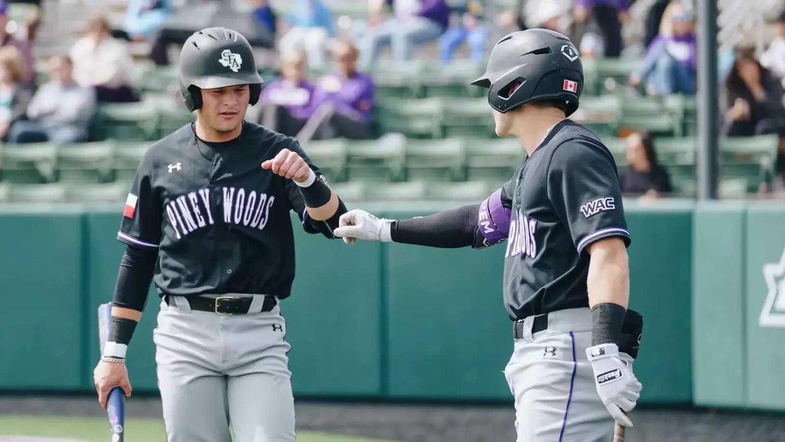 Stephen F Austin University