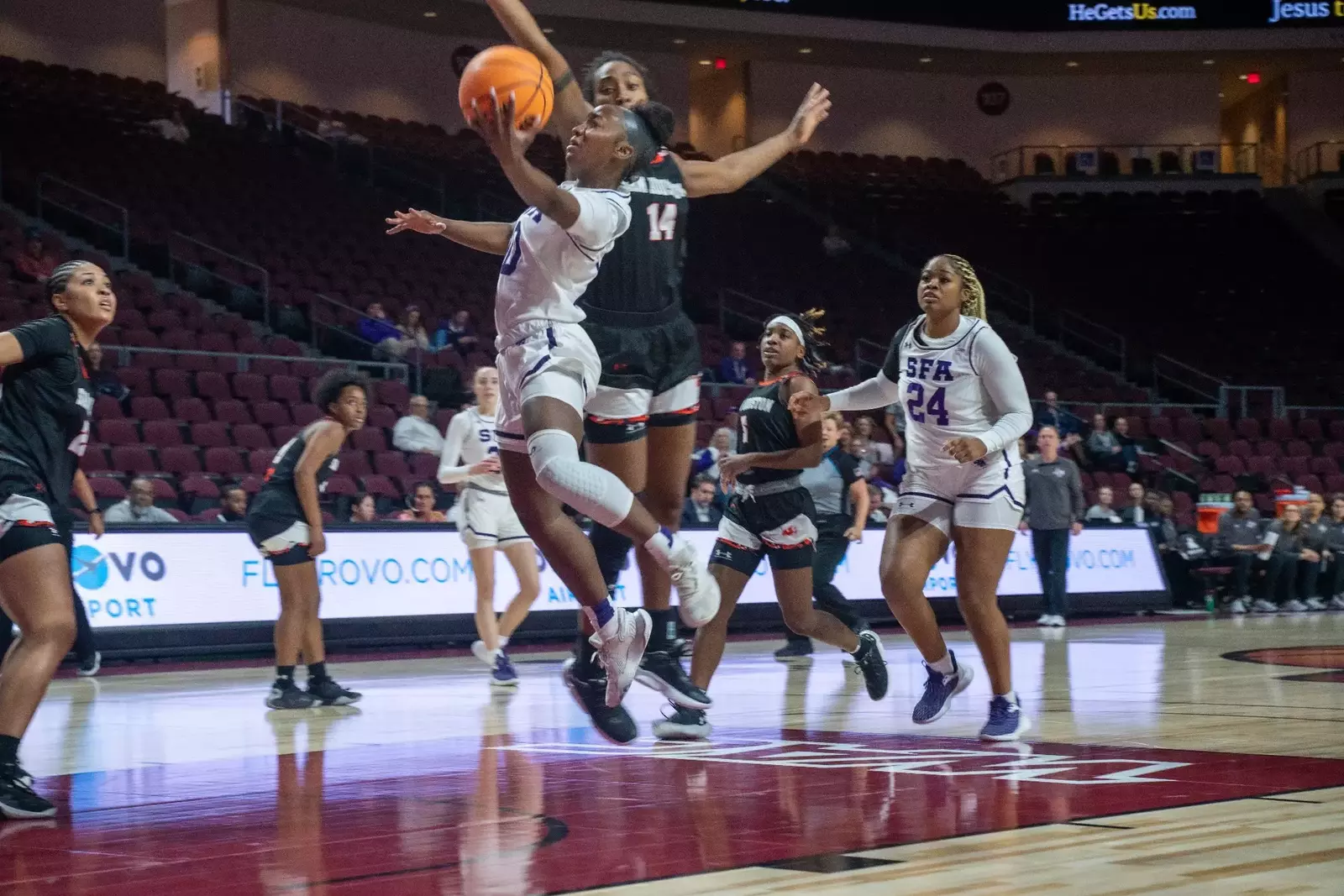 Stephen F Austin University