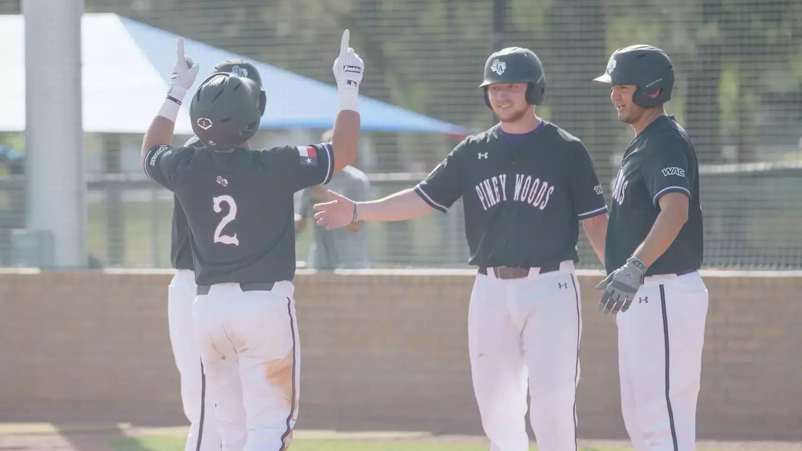 Stephen F Austin University