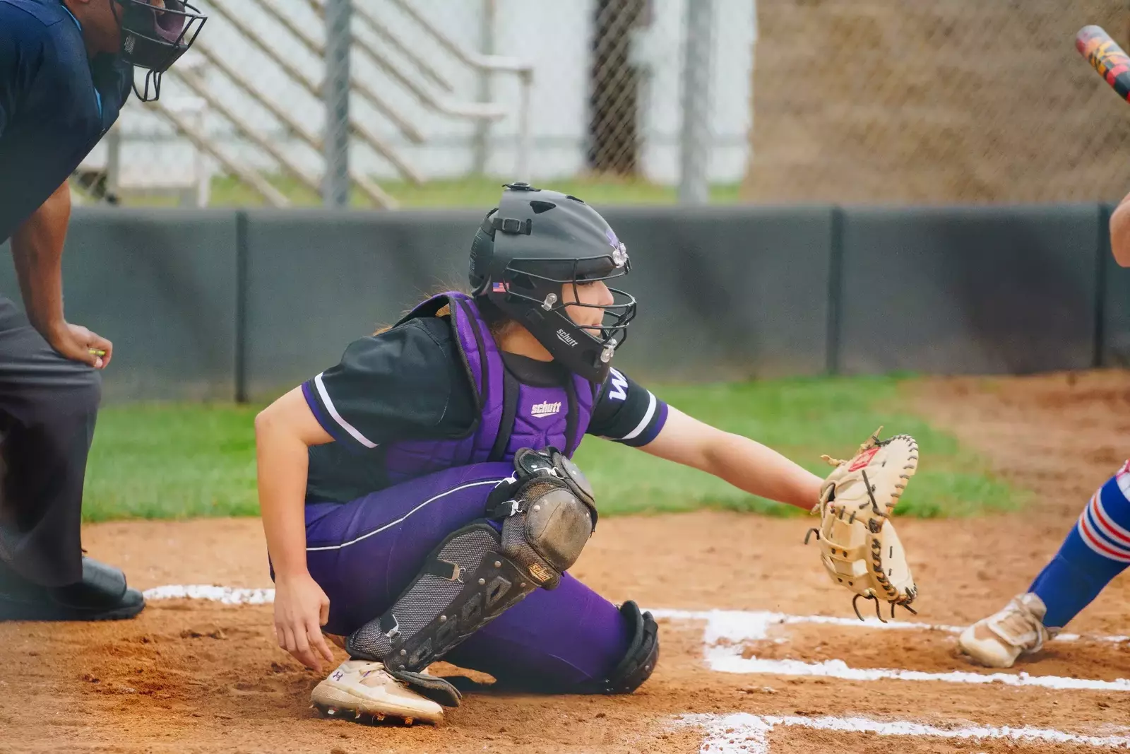 Stephen F Austin University