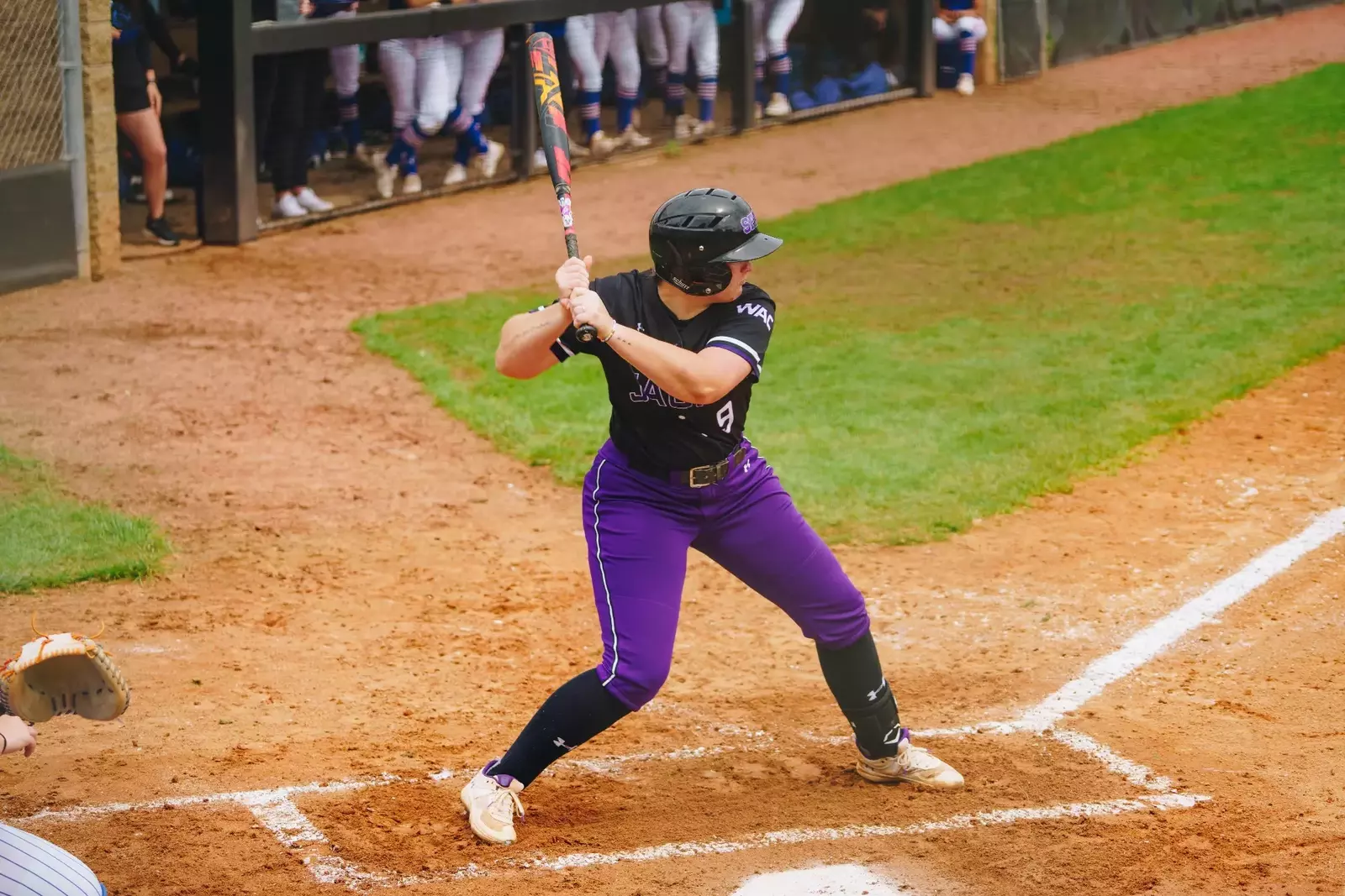 Stephen F Austin University