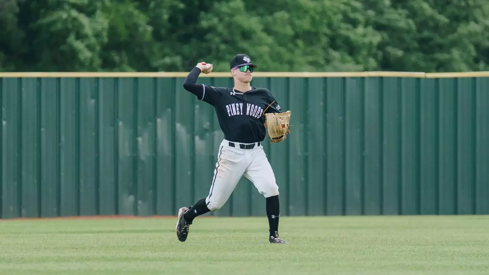 Stephen F Austin University
