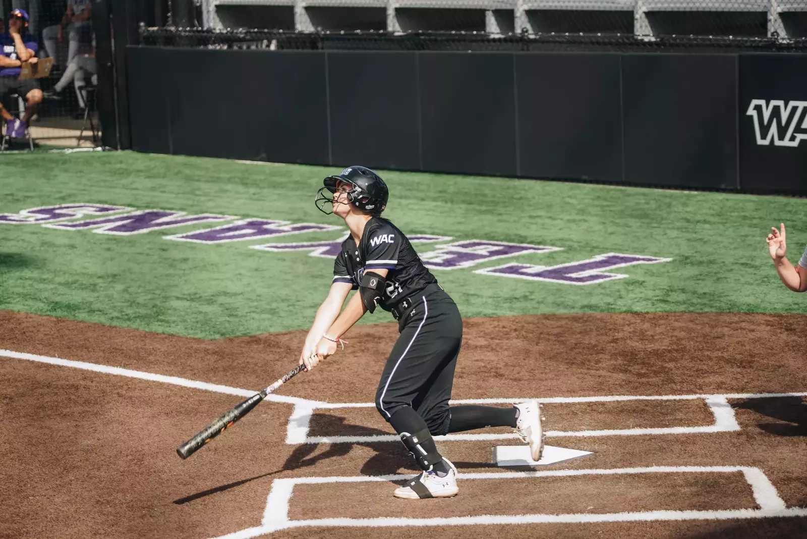 Stephen F Austin University
