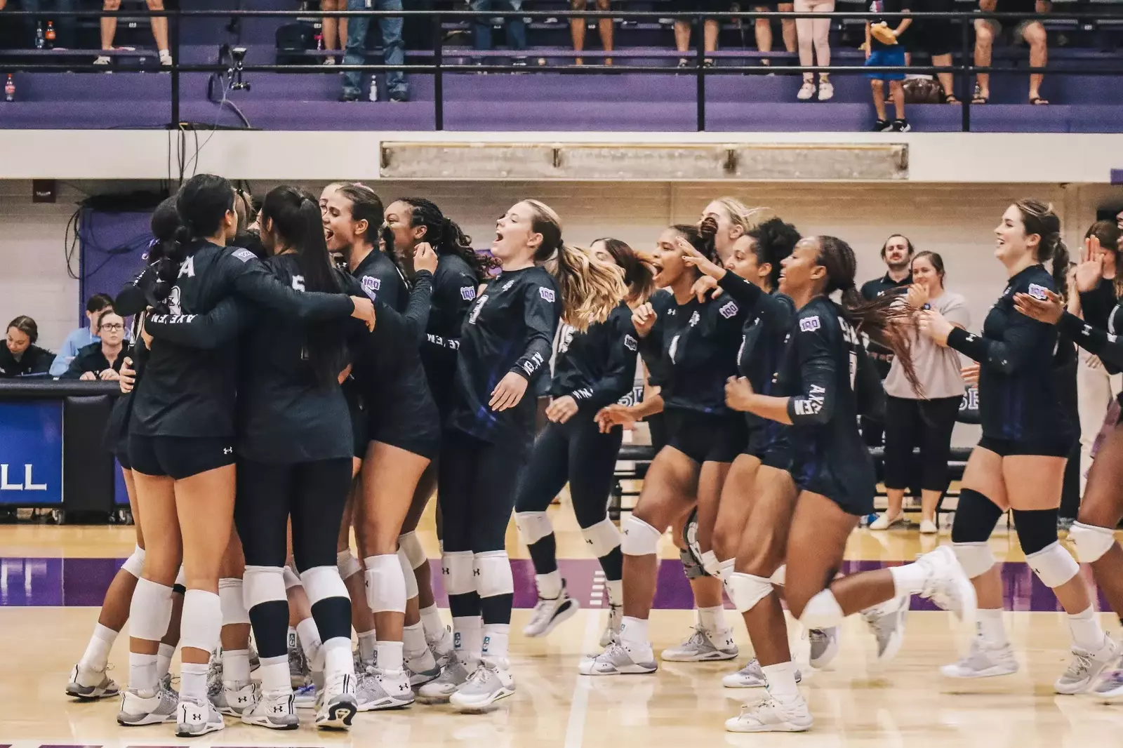 Stephen F Austin University