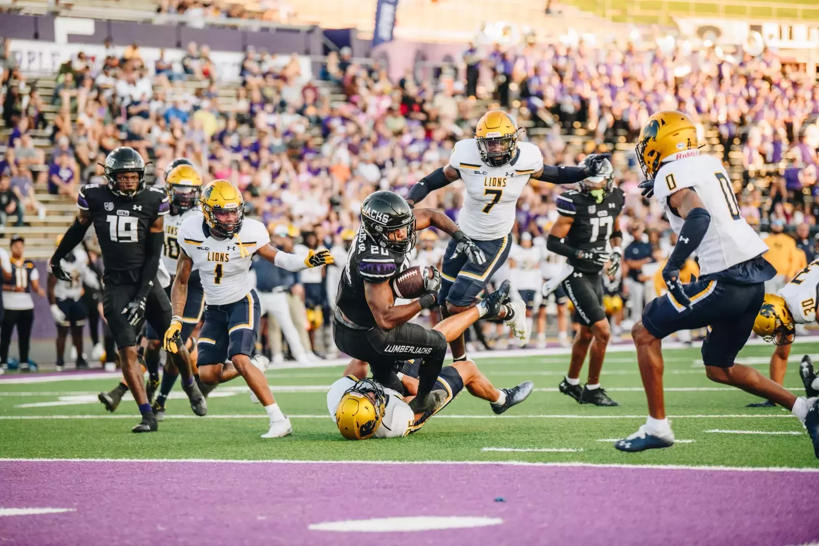 Stephen F Austin University