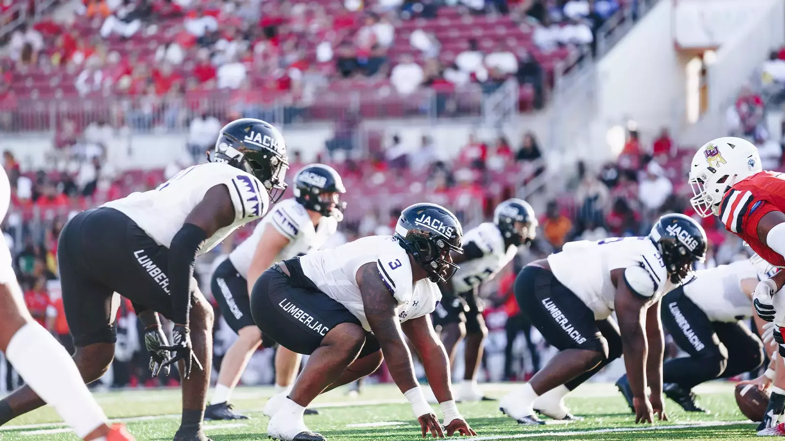 Stephen F Austin University