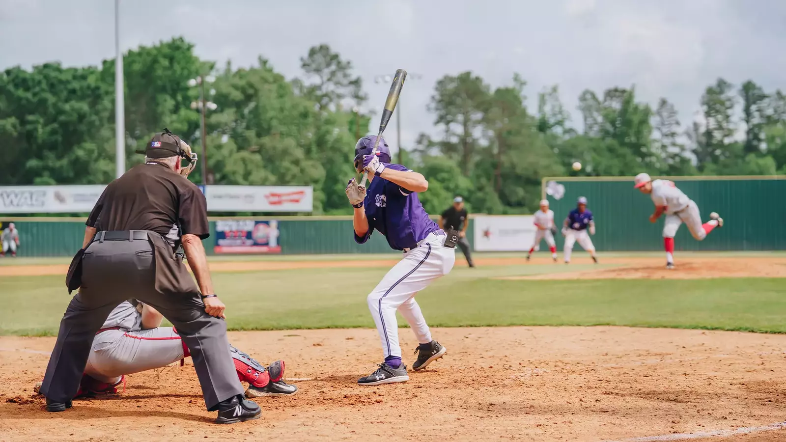 Stephen F Austin University